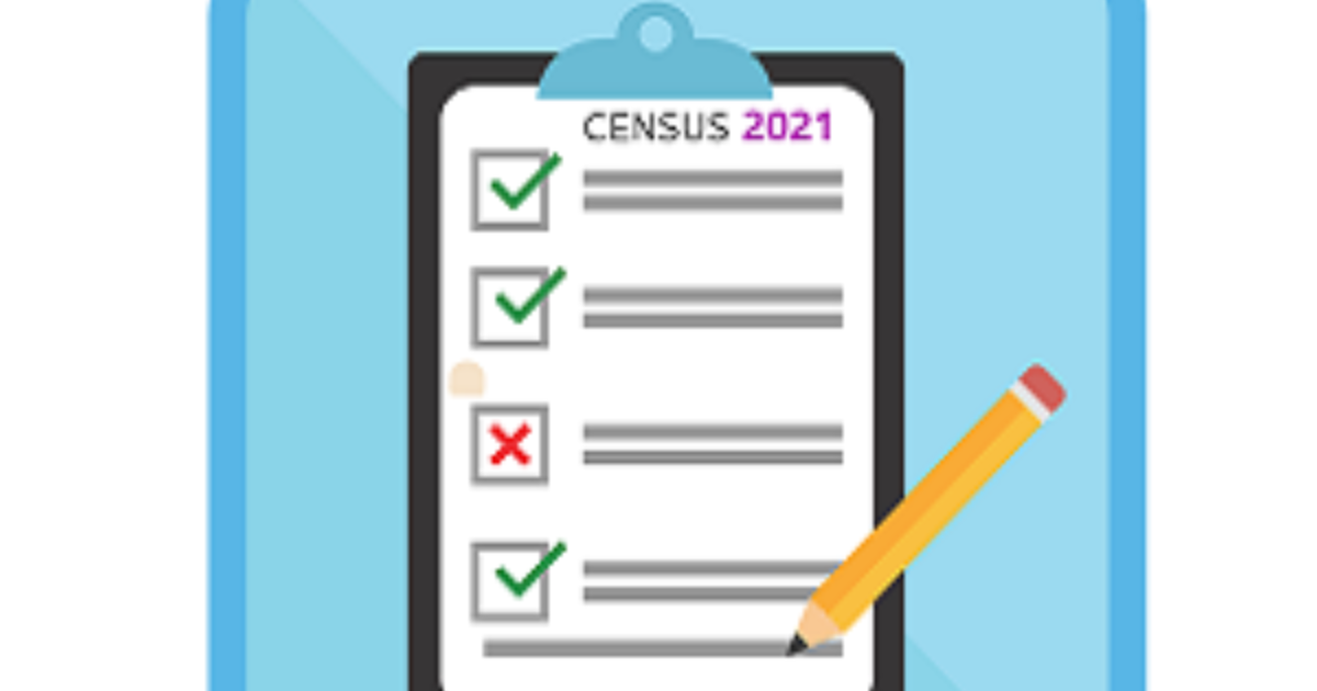 Census 2021 School Campaign - Leap