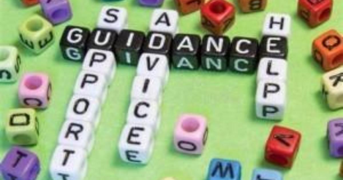 Guidance - Leap