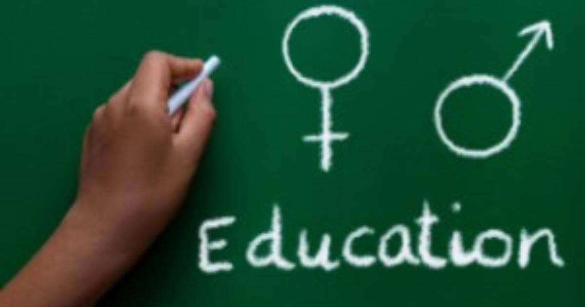 Introduction to the RSE Working Group 2019-20 resource toolkit - Leap